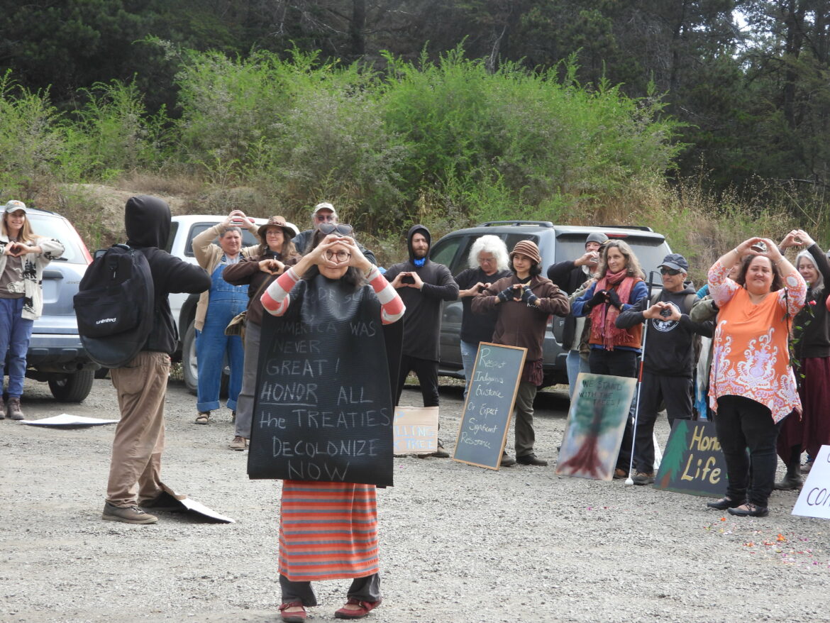 Forest activists hold prayer circle for Pomo, Cal Fire tour nixed • The ...