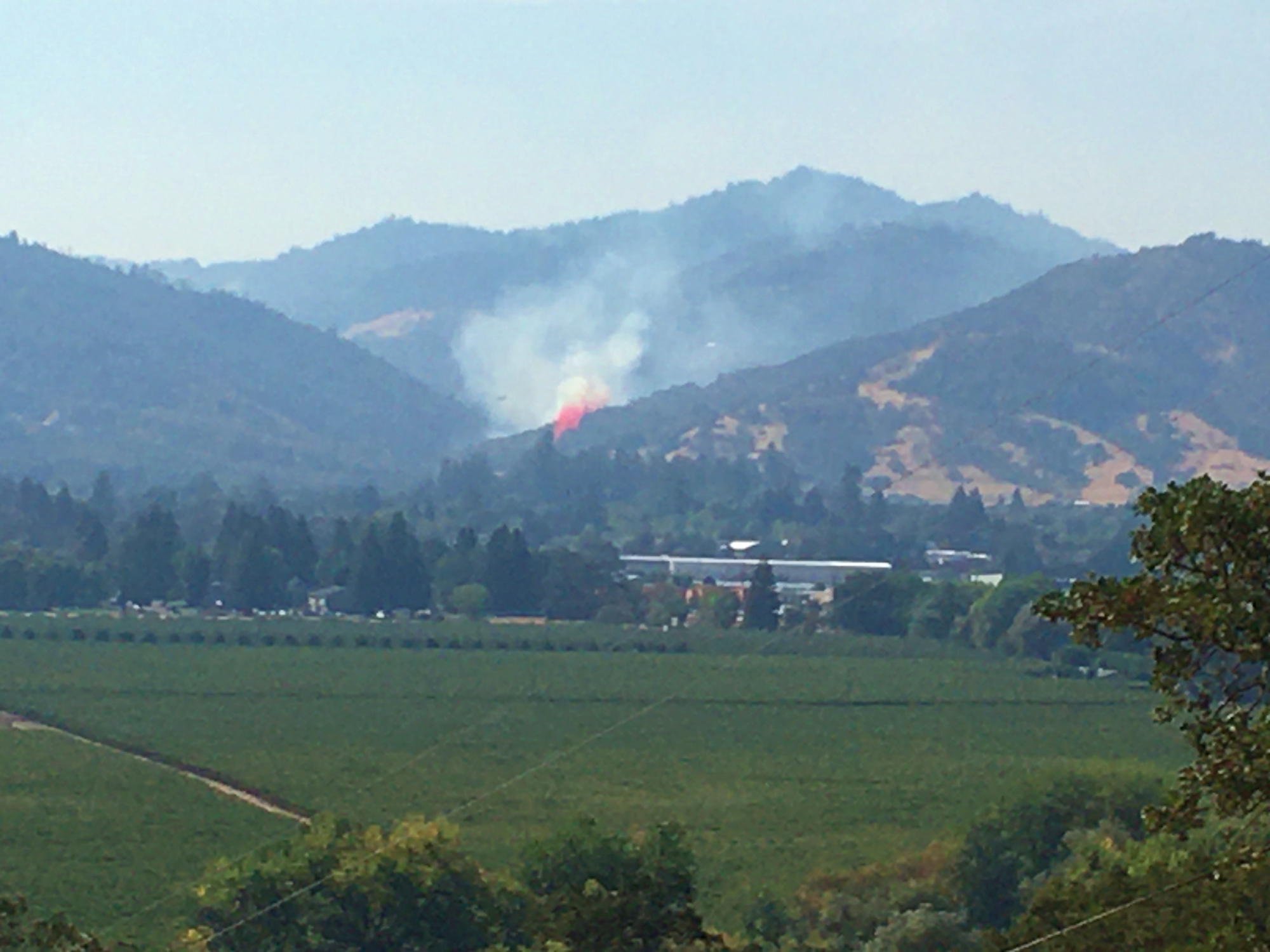 Gap Fire in Ukiah area now contained (updated 5:35 p.m.) • The ...