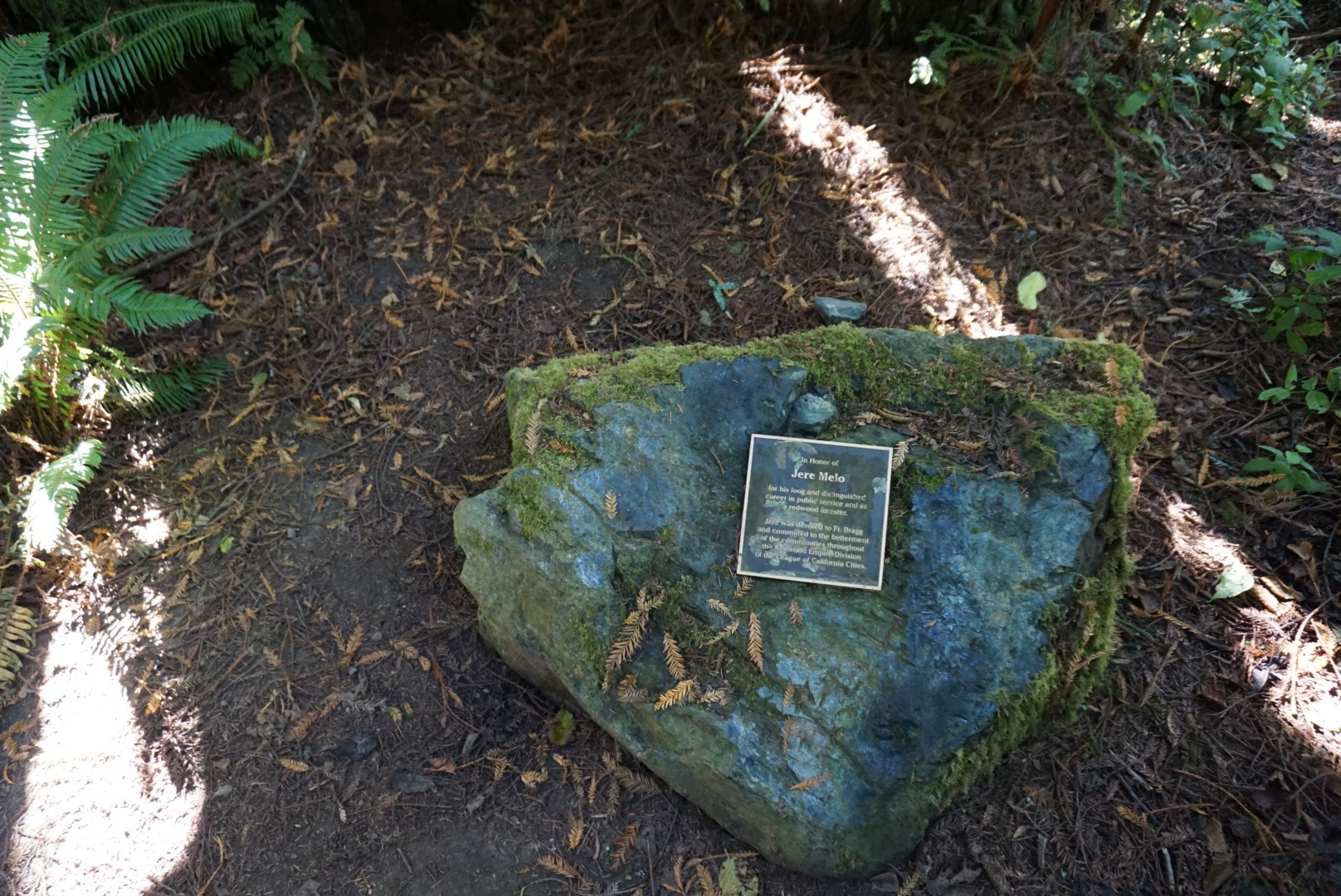 Modern history: Jere Melo, Matt Coleman, and the man who murdered them ...