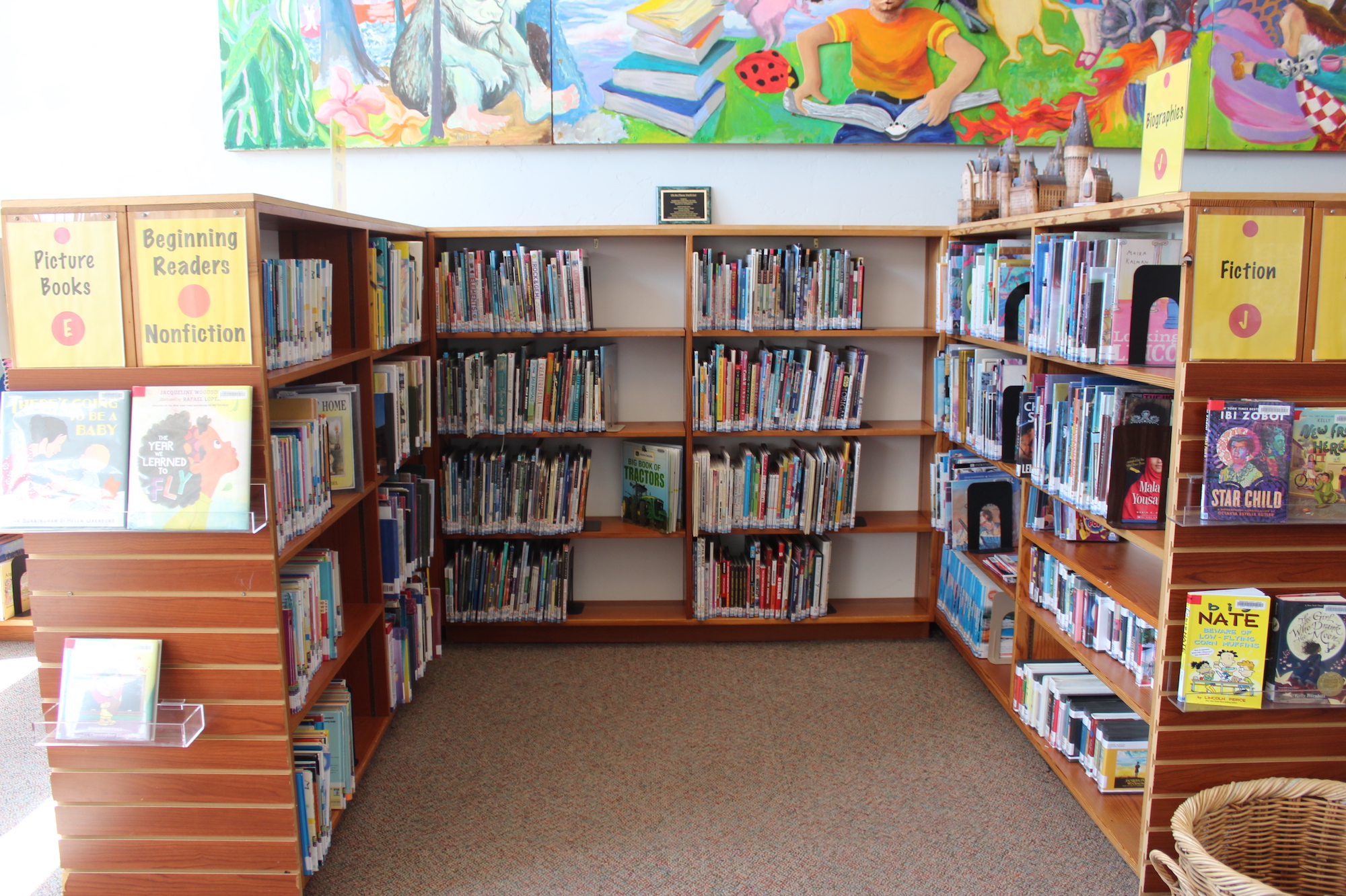 ‘Keeping the core alive and relevant’: library advocates look to sales ...