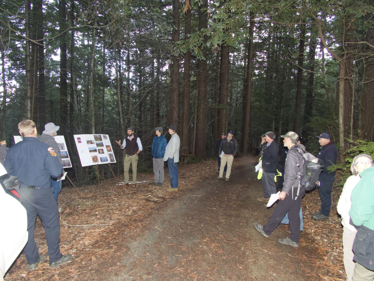 Jackson State Demonstration Forest Advisory Group members engage in ...