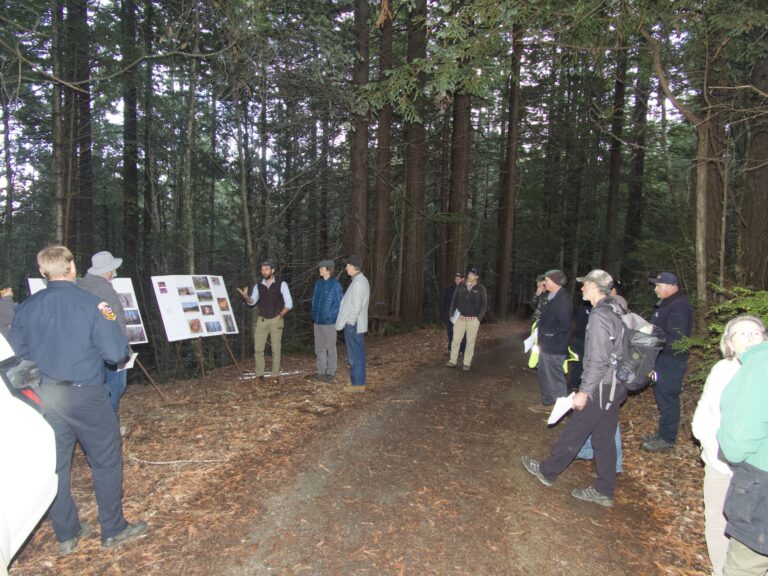 Jackson State Demonstration Forest Advisory Group members engage in ...