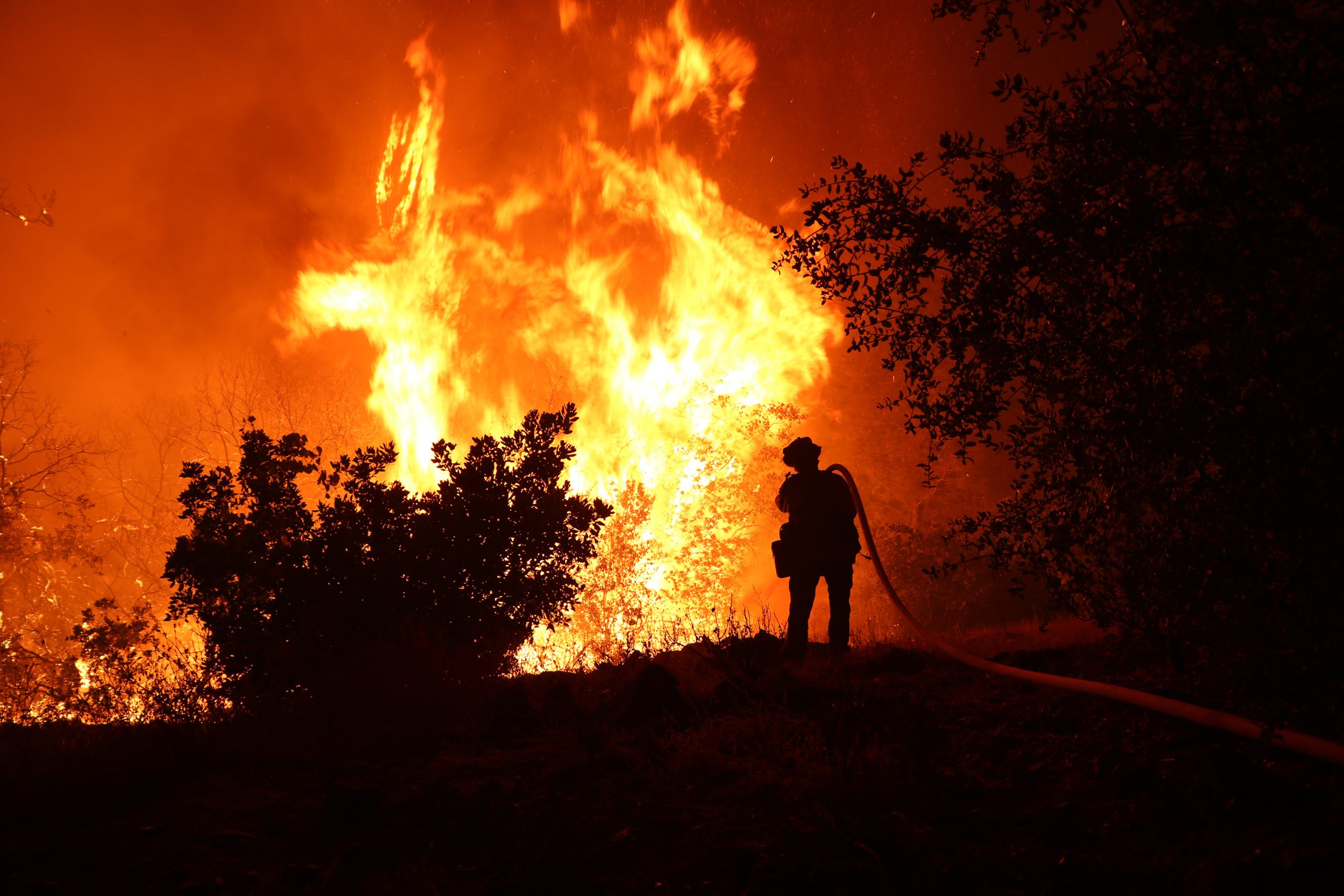 Californians pay billions for power companies’ wildfire prevention ...
