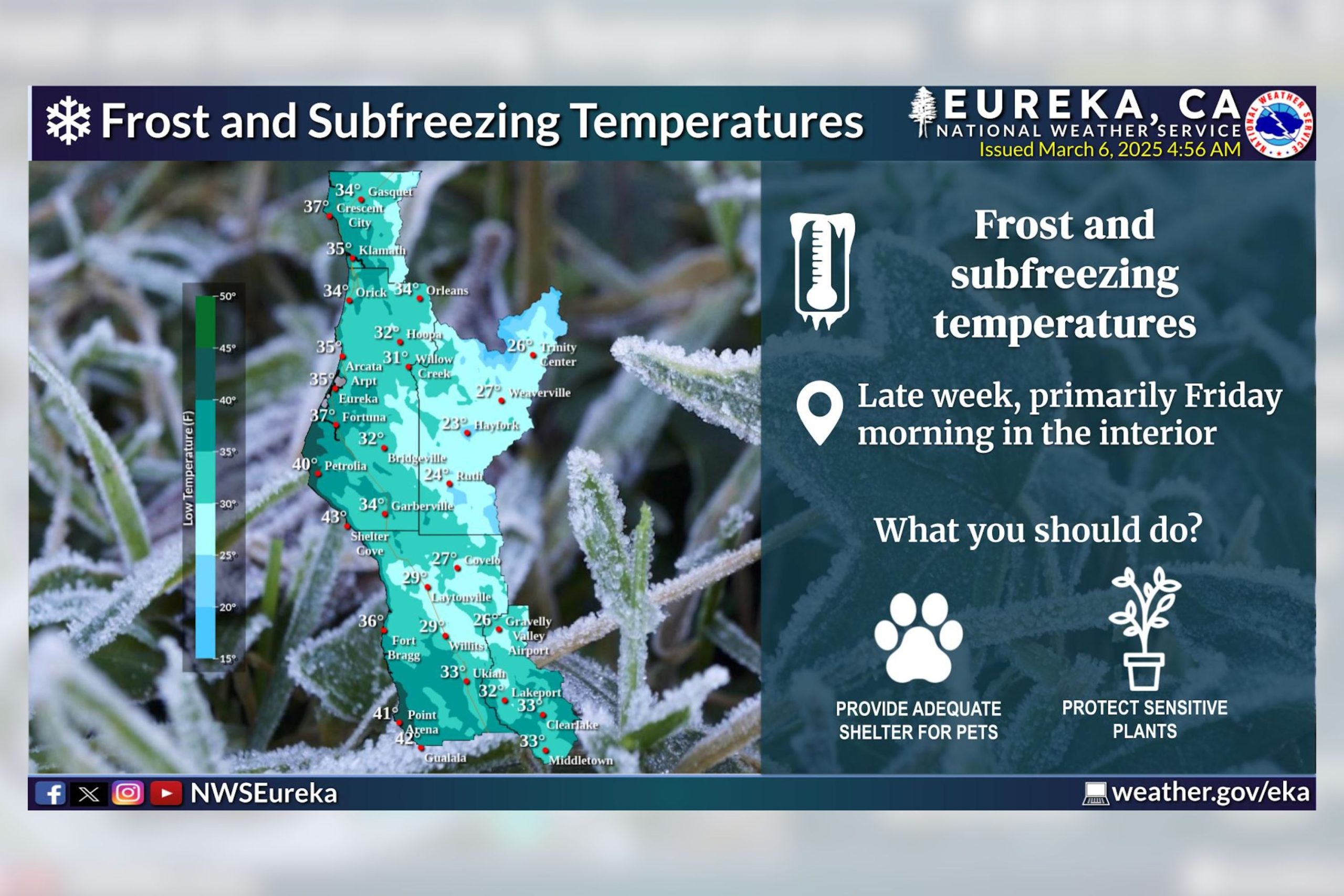 Friday morning freeze, frost warnings issued for entire county • The ...