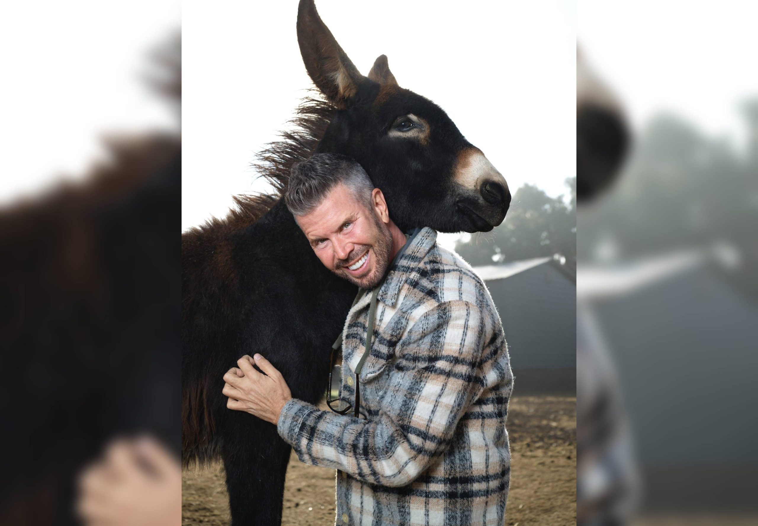 Hopland donkey rescue featured in reality series premieres Jan. 3 • The ...