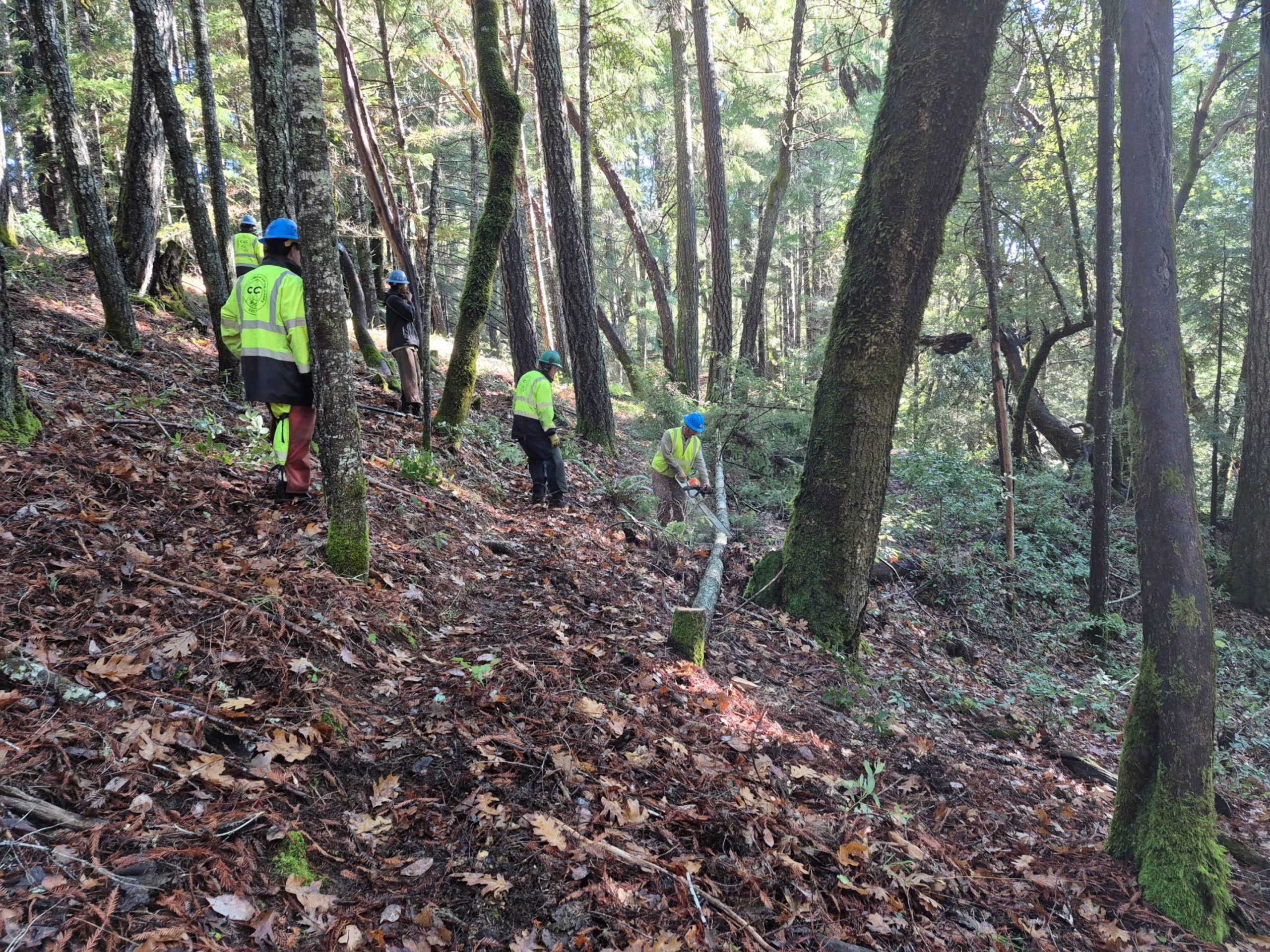 Brooktrails finds a path to treat hazardous vegetation on private ...