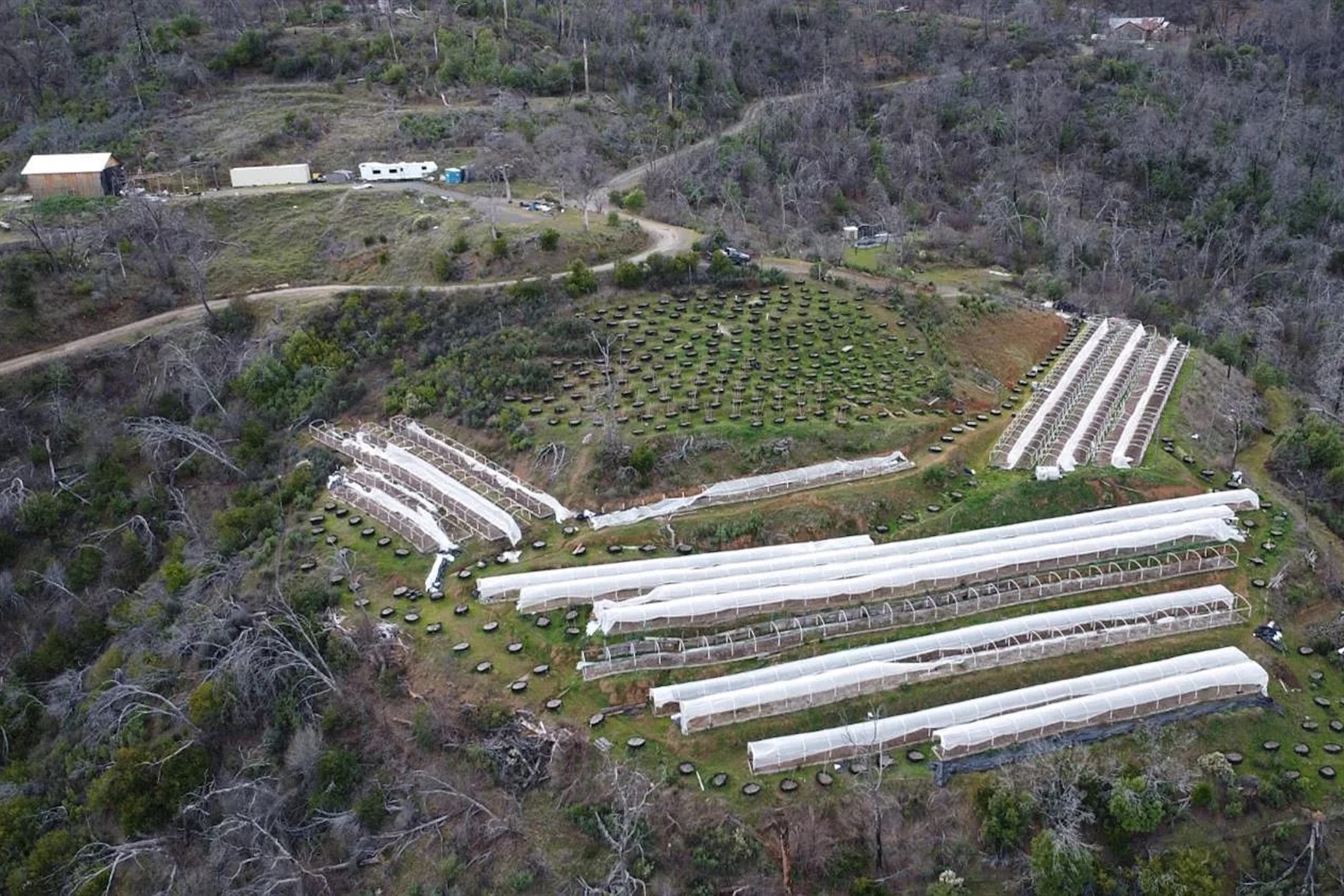 Licensed 20-acre cannabis farm near Upper Lake for sale • The Mendocino ...