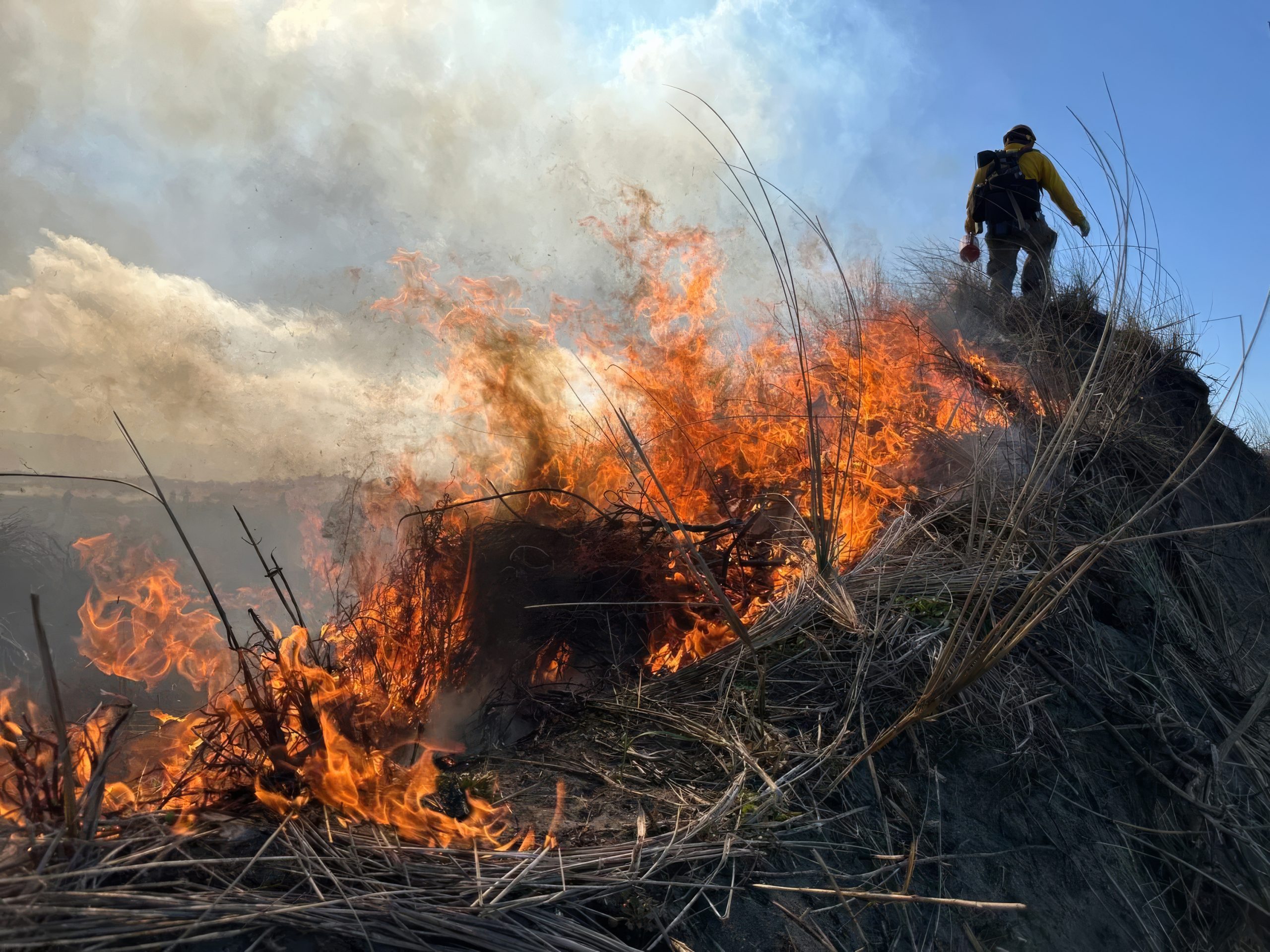 400-acre prescribed burn planned later this month along Highway 101 ...